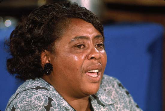 Fannie Lou Hamer, Civil Rights Activist