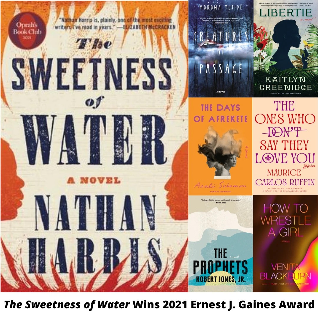 Ernest J. Gaines Award for Literary Excellence | AALBC